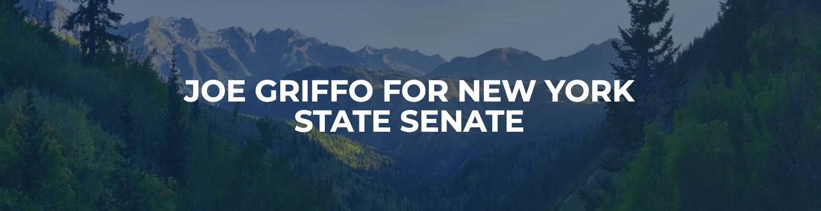 Joe Griffo for New York State Senate